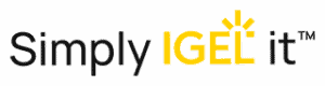Software Testen | IGEL